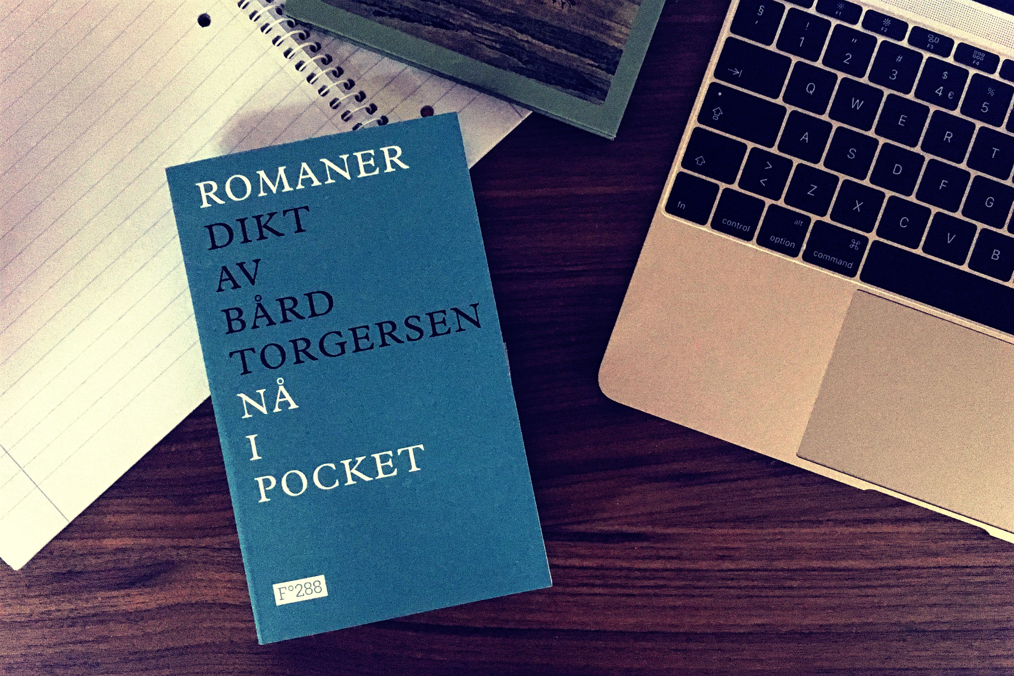 «Romaner og «Jeg ikke dum av Bård Torgersen | «Elise Cathrin